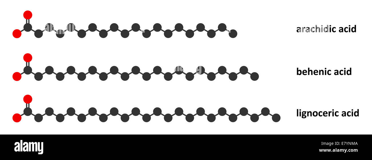 Saturated Fatty Acid Stock Photos & Saturated Fatty Acid Stock Images ...
