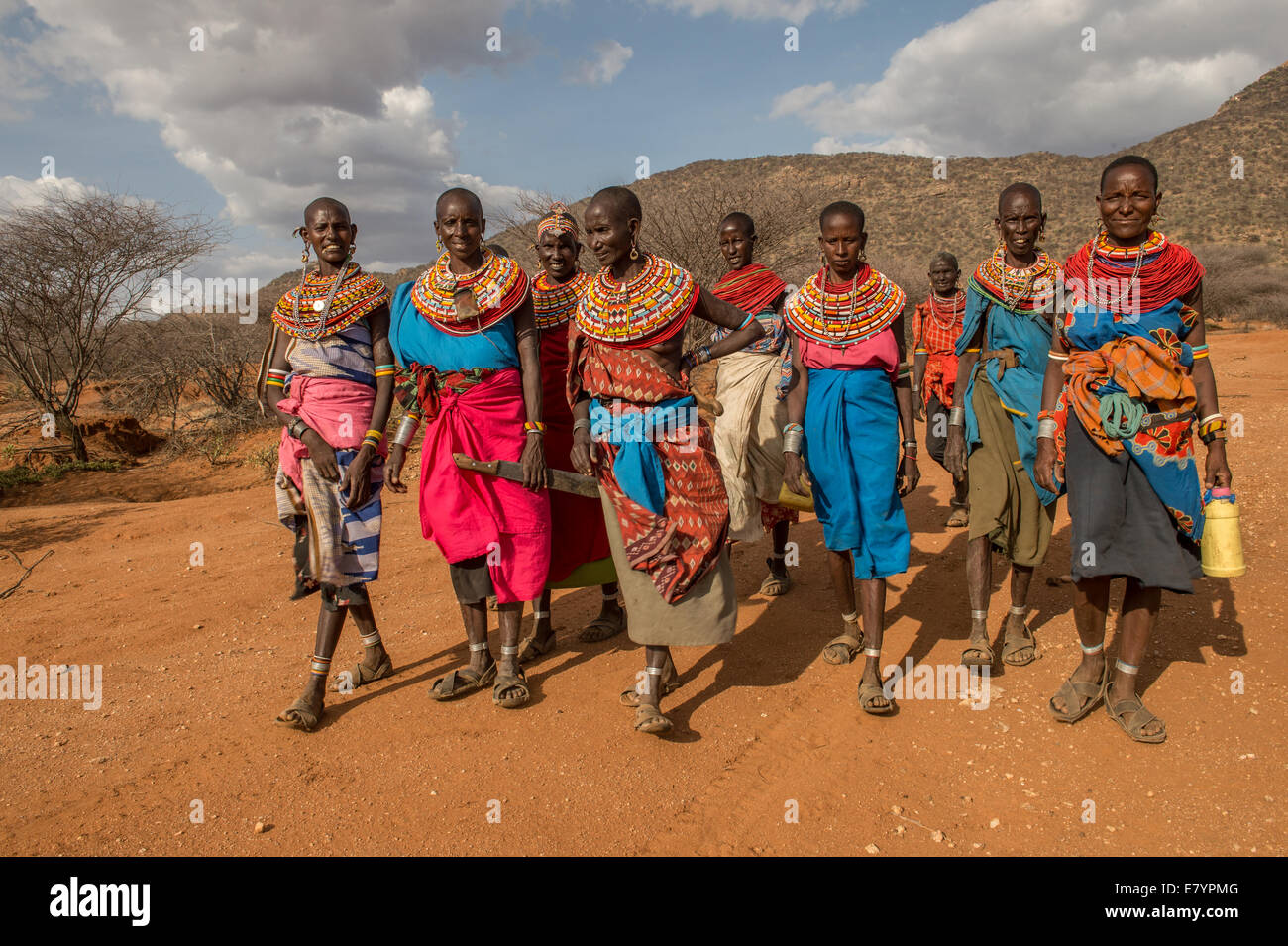 Samburu women chop down Acacia reficiens, a species that sucks any last ...