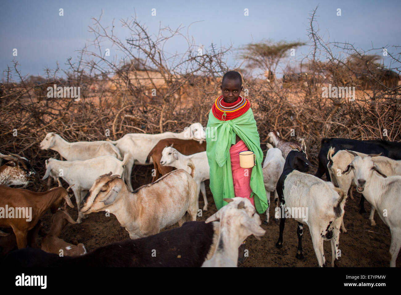 The Maa-speaking Samburu are pastoralists, whose livelihoods have ...