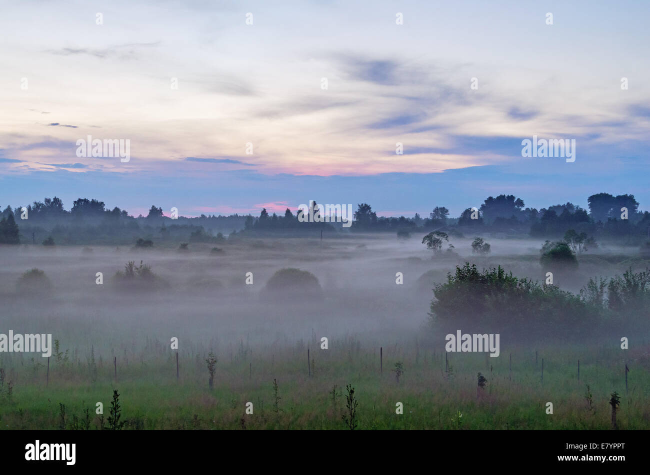 Raw damp weather hi-res stock photography and images - Alamy