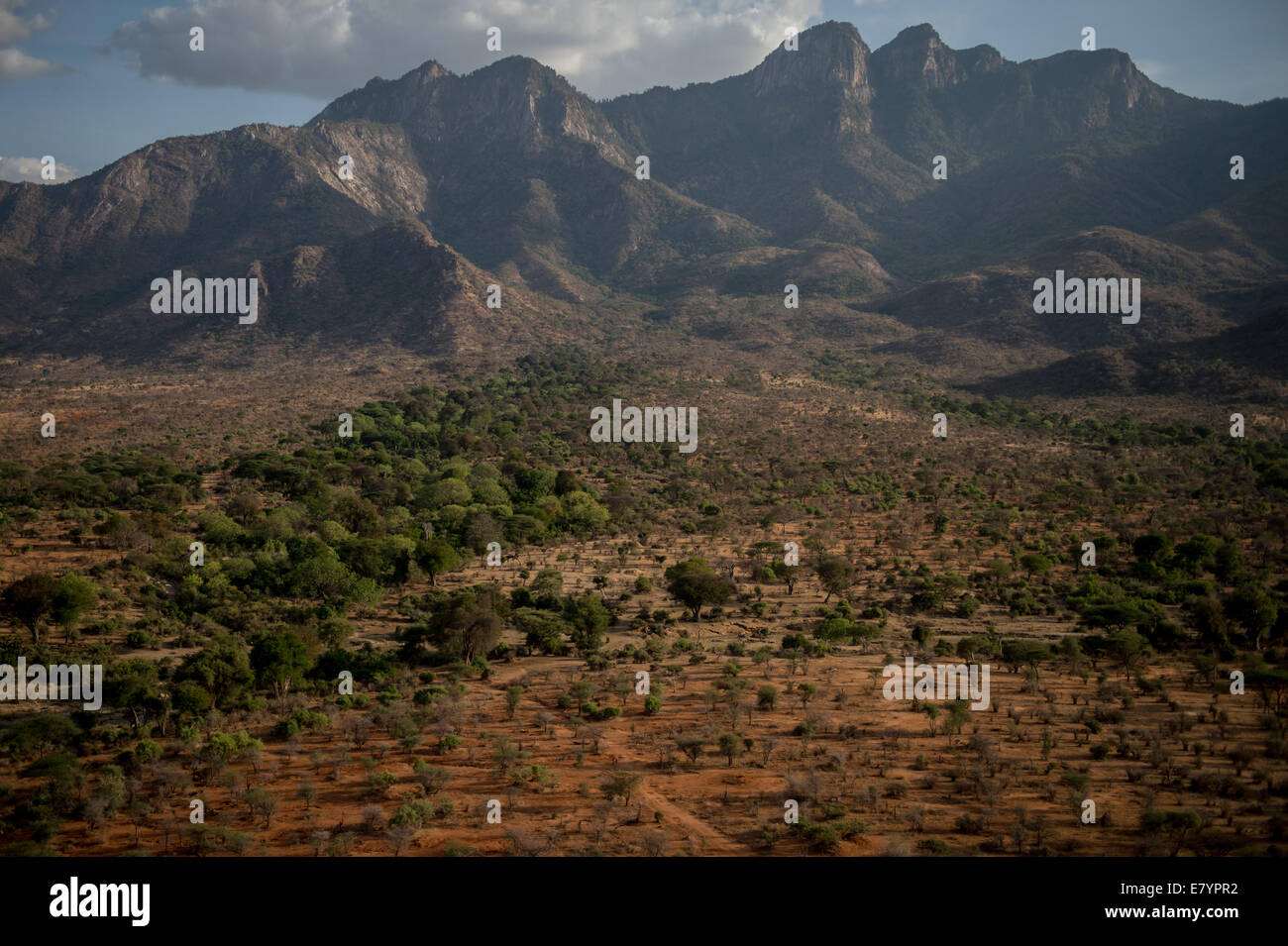 The Sarara Wildlife Conservancy in Kenya, a part of the Northern ...