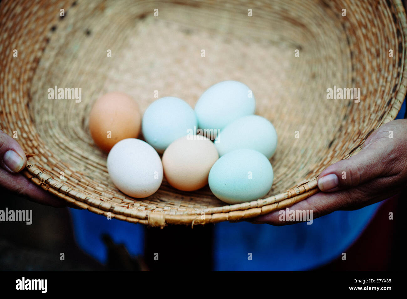 Eggs in basket Stock Photo - Alamy