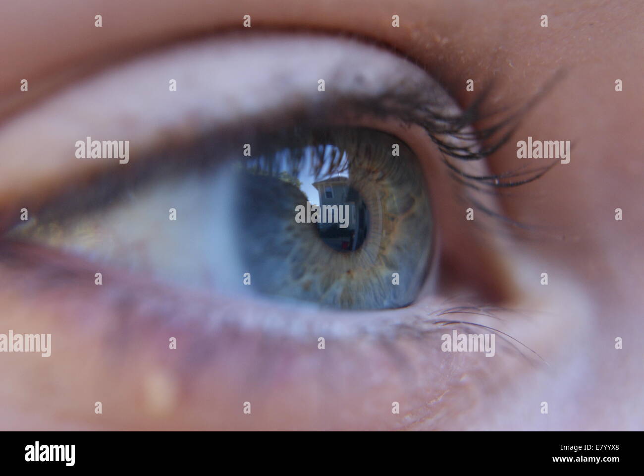 A macro shot of an eye, with a reflection of a home in the pupil Stock ...