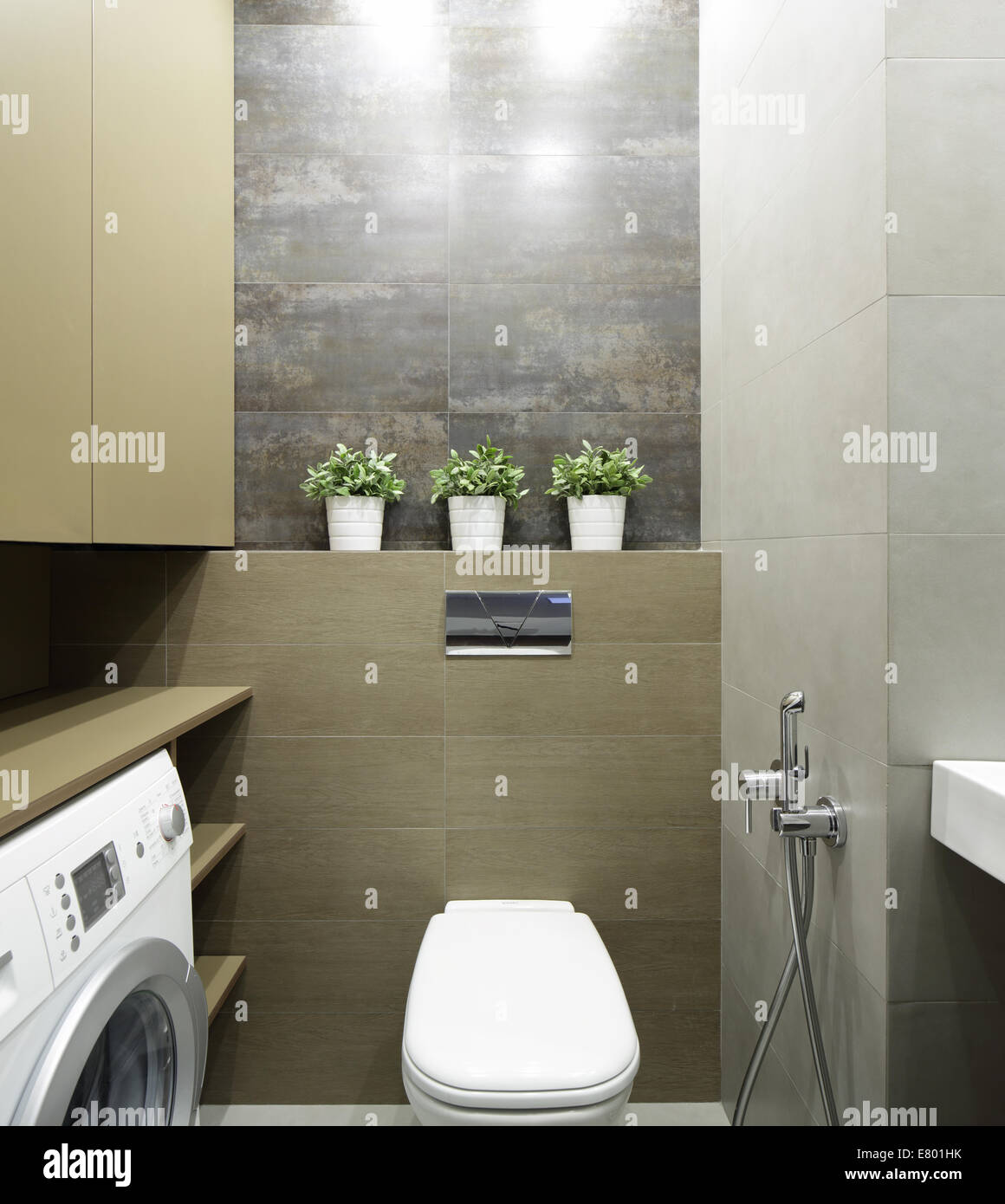 beautiful interior of modern toilet in bright colors Stock Photo - Alamy