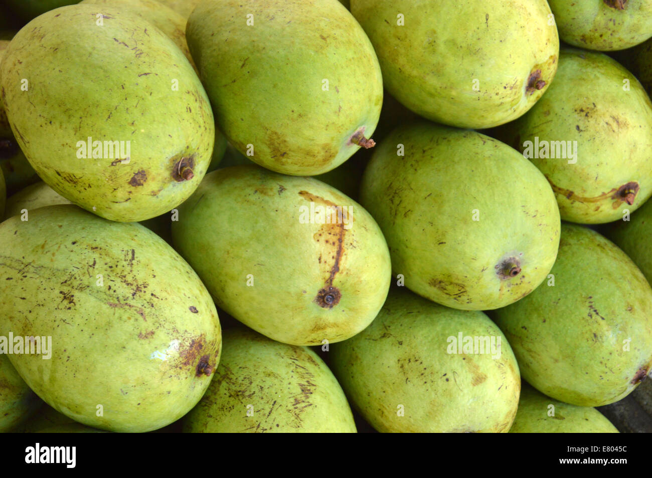pattern green mango fruit background Stock Photo - Alamy