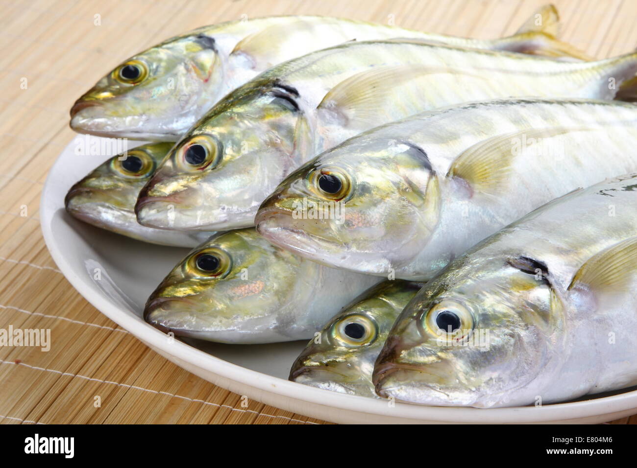 Fresh bluefin trevally fish Stock Photo - Alamy