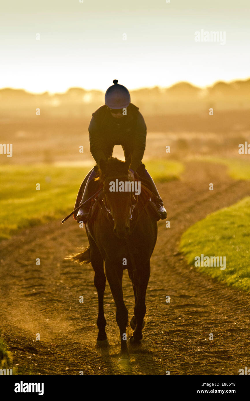 Cantering uphill hi-res stock photography and images - Alamy