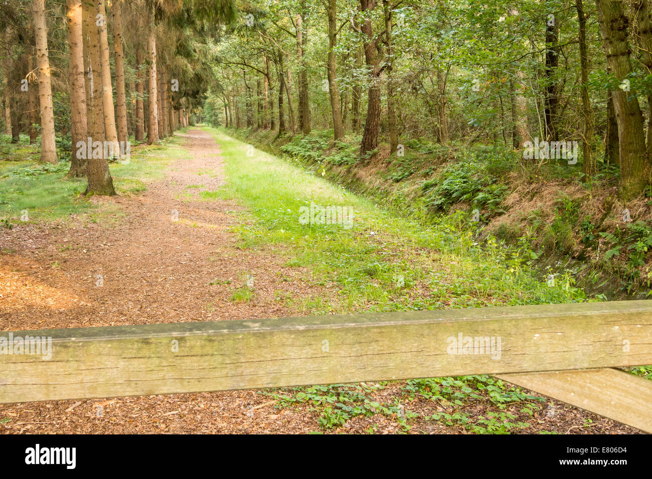 Lonely path hi-res stock photography and images - Alamy