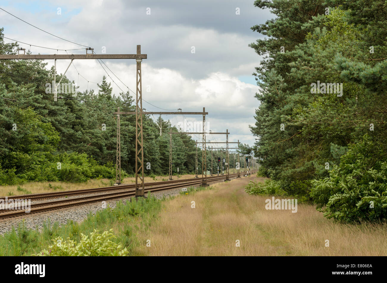 Train running through forest hi-res stock photography and images - Alamy