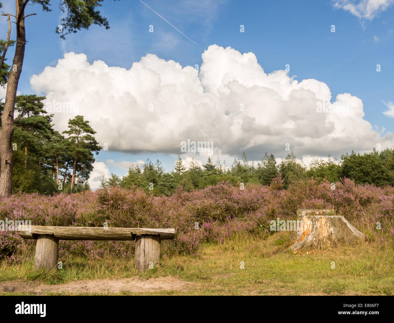Bench clouds hi-res stock photography and images - Alamy