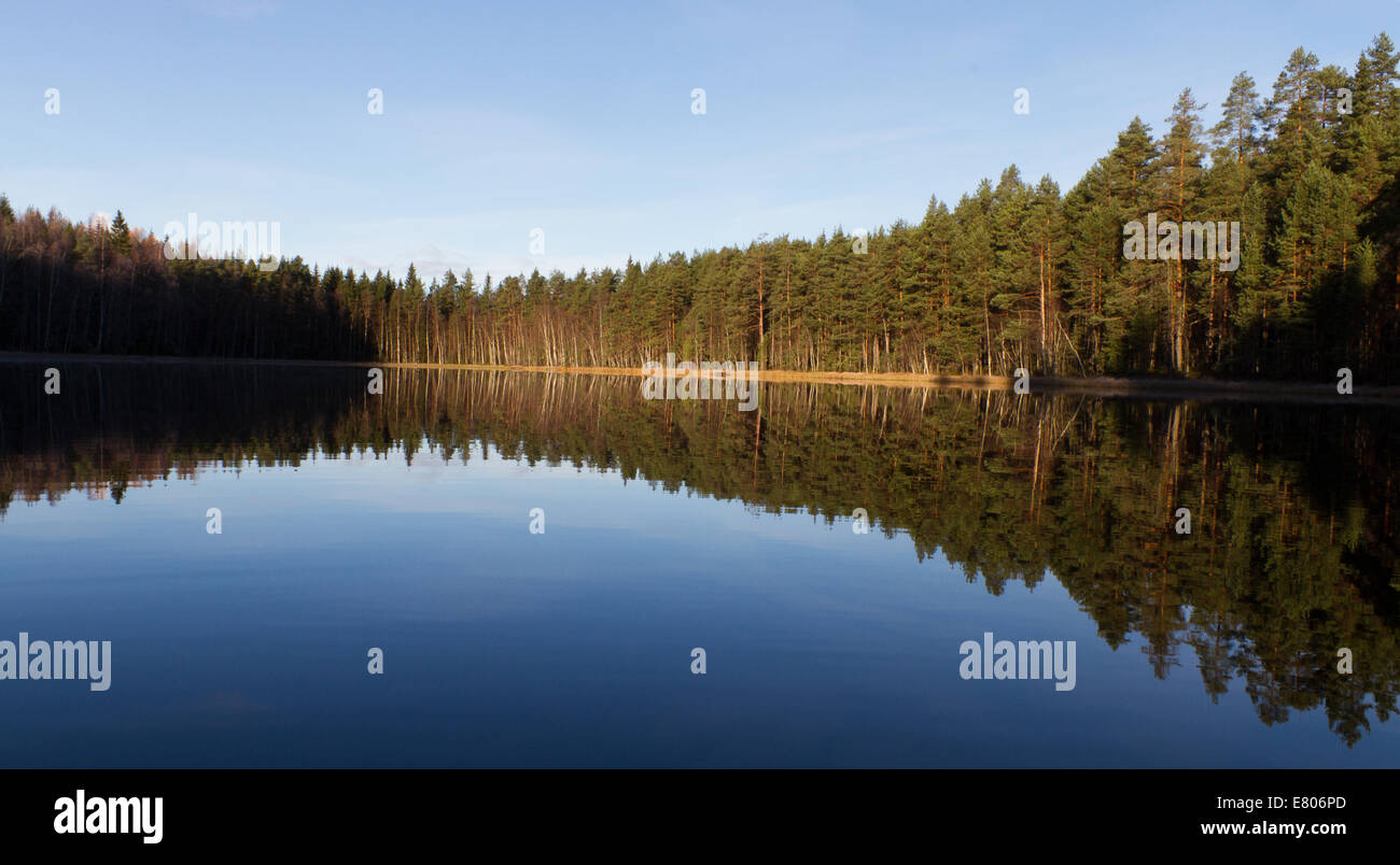 calm forest lake Stock Photo - Alamy