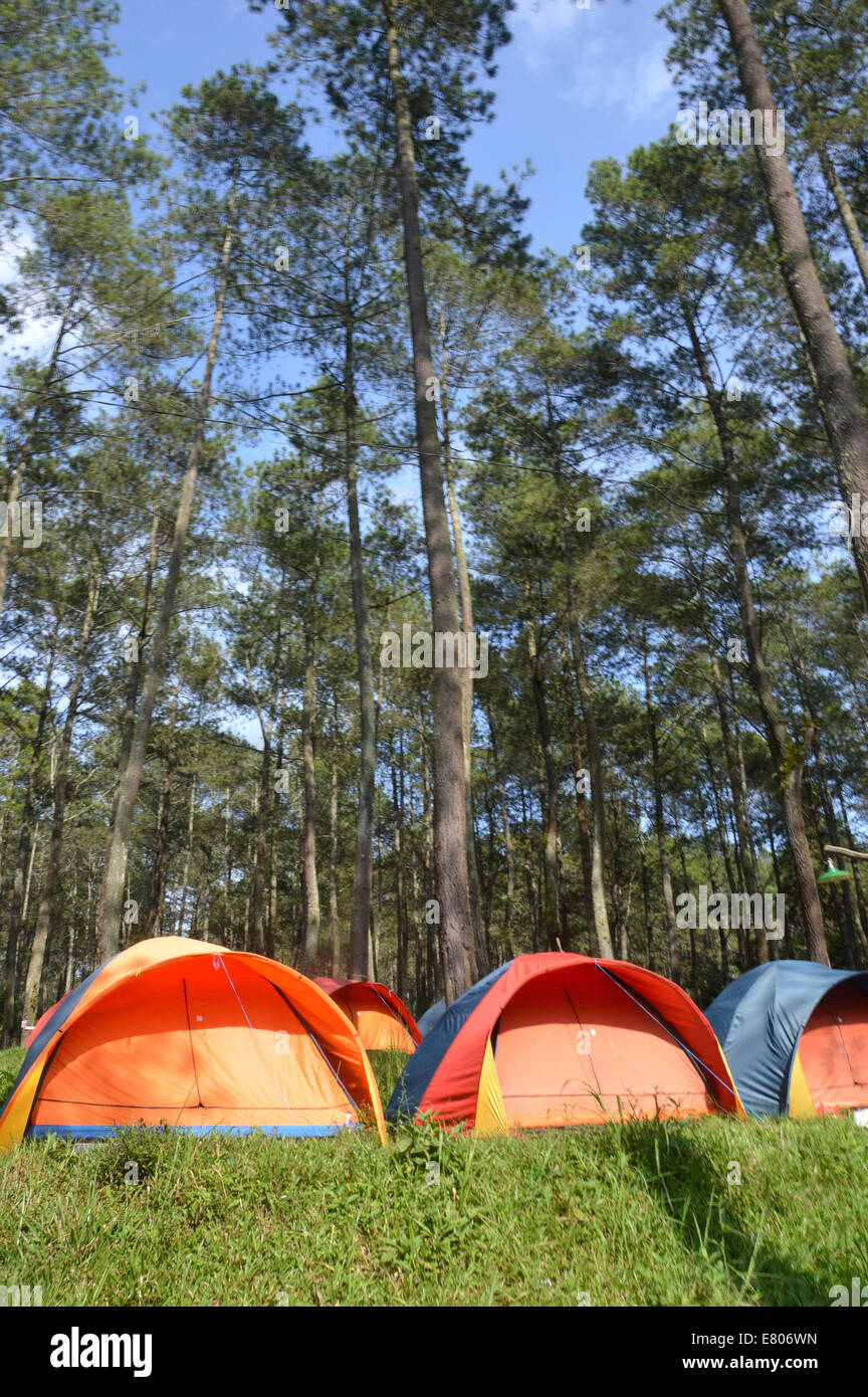 Cikole High Resolution Stock Photography and Images - Alamy
