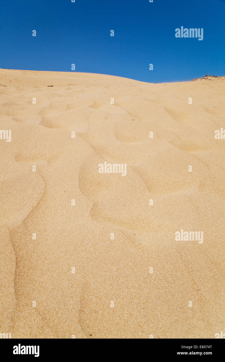 Off white colour texture hi-res stock photography and images - Alamy