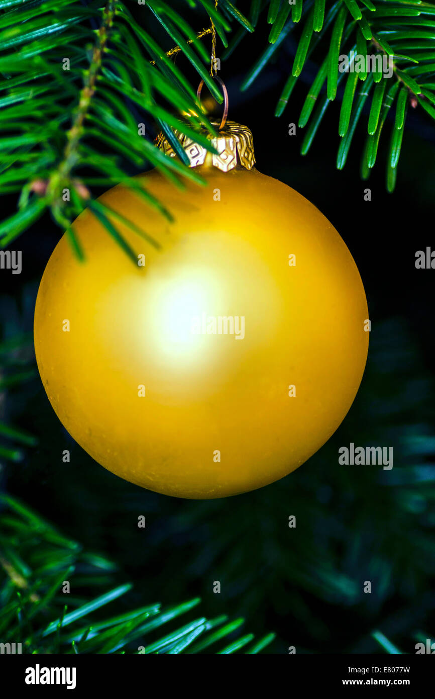 Golden tree of life hi-res stock photography and images - Alamy