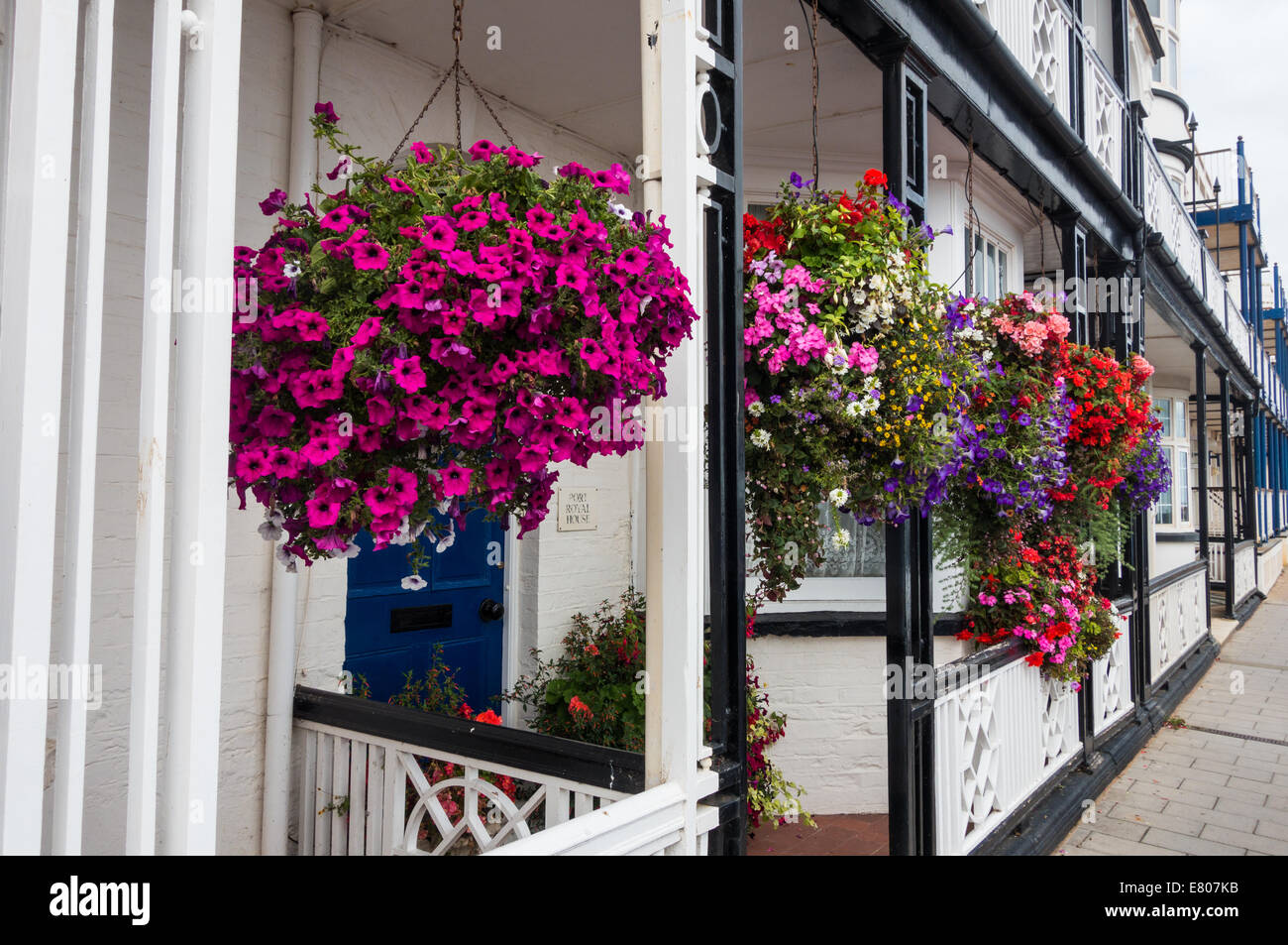 Sidmouth, Devon, England.Hanging baskets of flowering pink and white ...