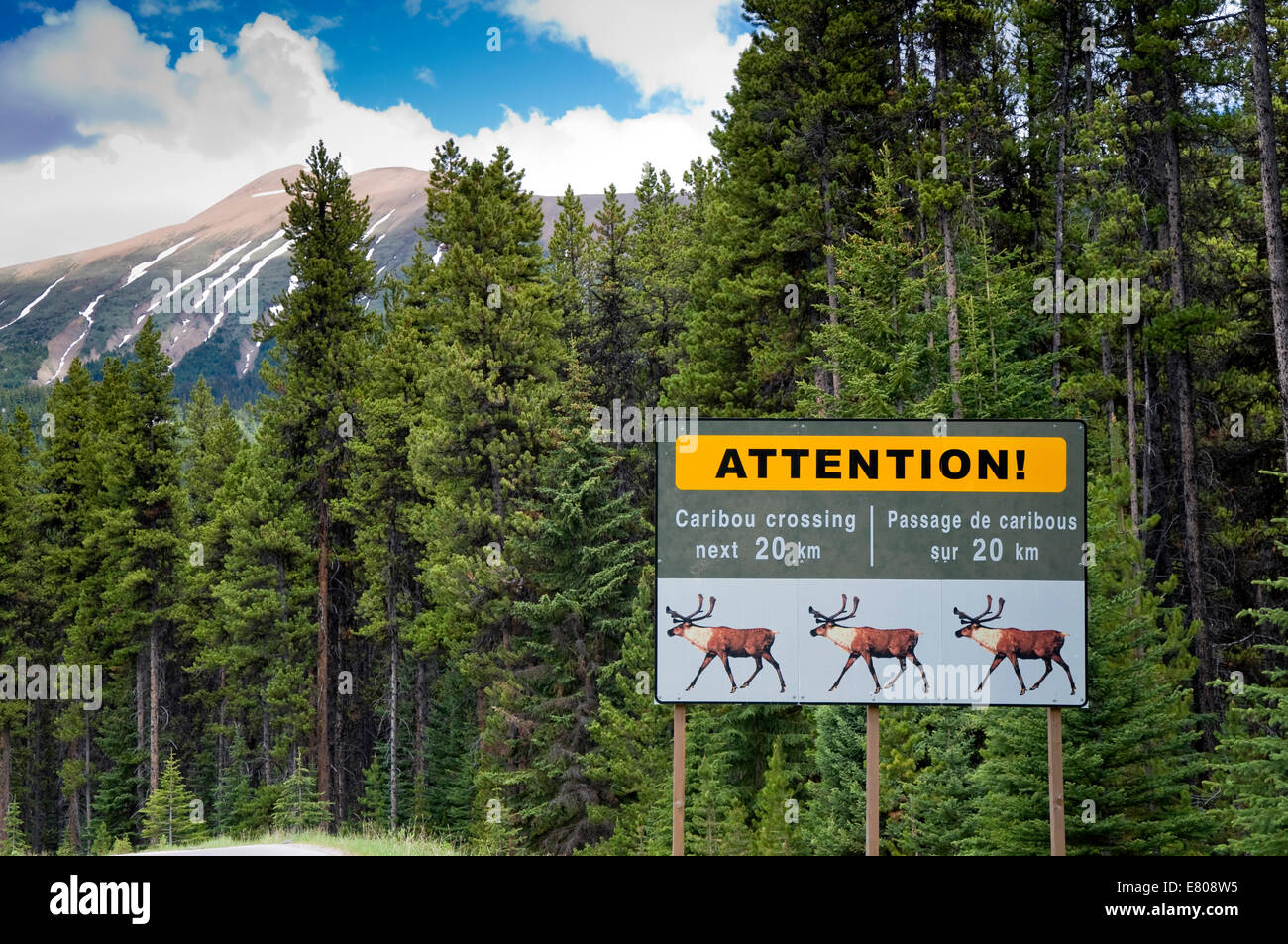 Caribou Crossing Sign, Icefields Parkway, Jasper National Park, Alberta ...