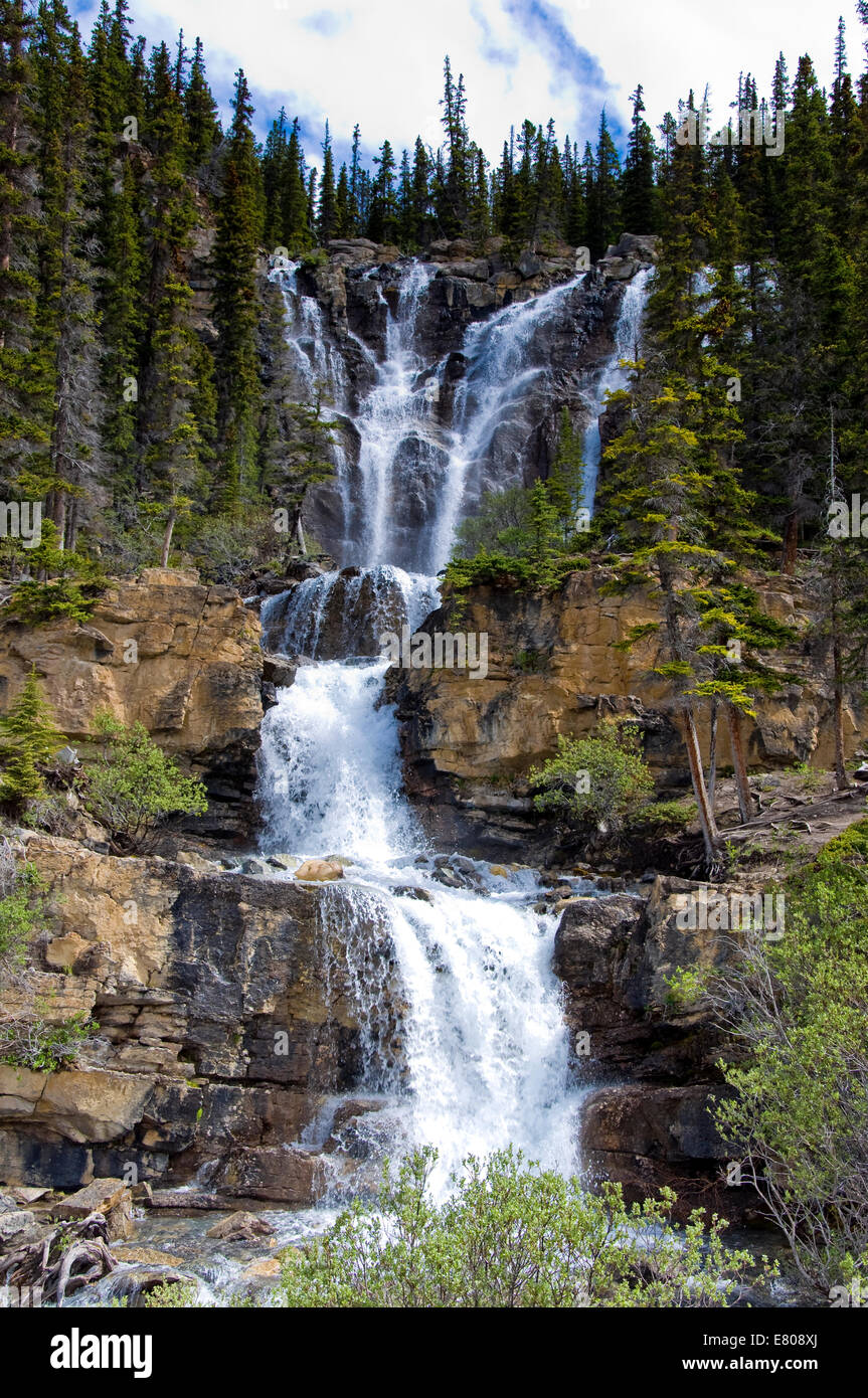Alberta falls rocky mountains hi-res stock photography and images - Alamy