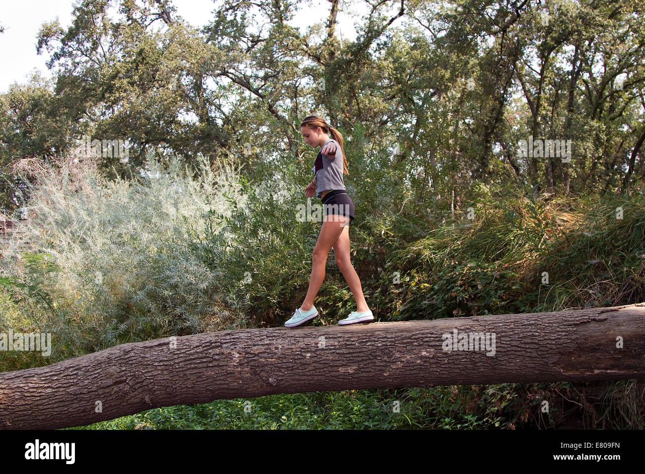 A young Caucasian girl posing and doing exercise routine on a fallen ...