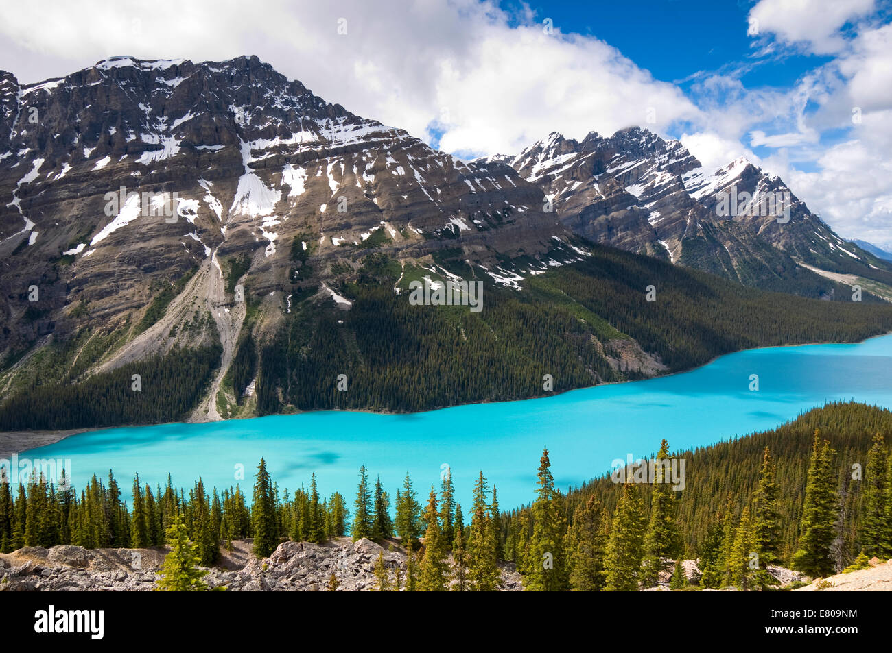 Turquoise glacier peyto lake hi-res stock photography and images - Alamy