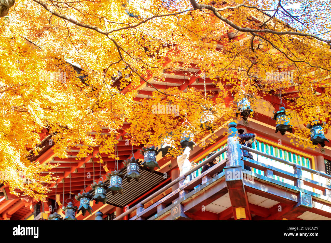 Tanzan Shrine at fall Stock Photo - Alamy