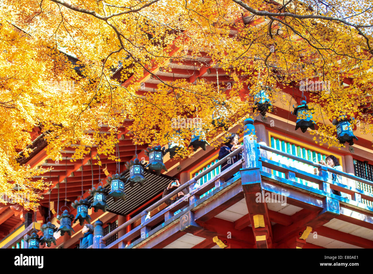 Tanzan Shrine at fall Stock Photo - Alamy
