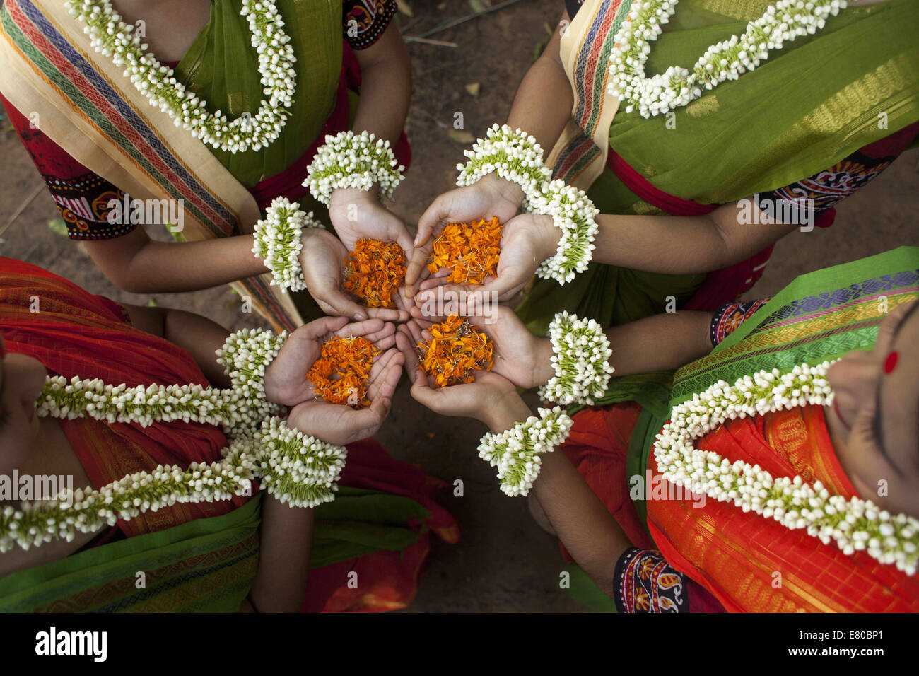 Kash Flower Stock Photos & Kash Flower Stock Images - Alamy