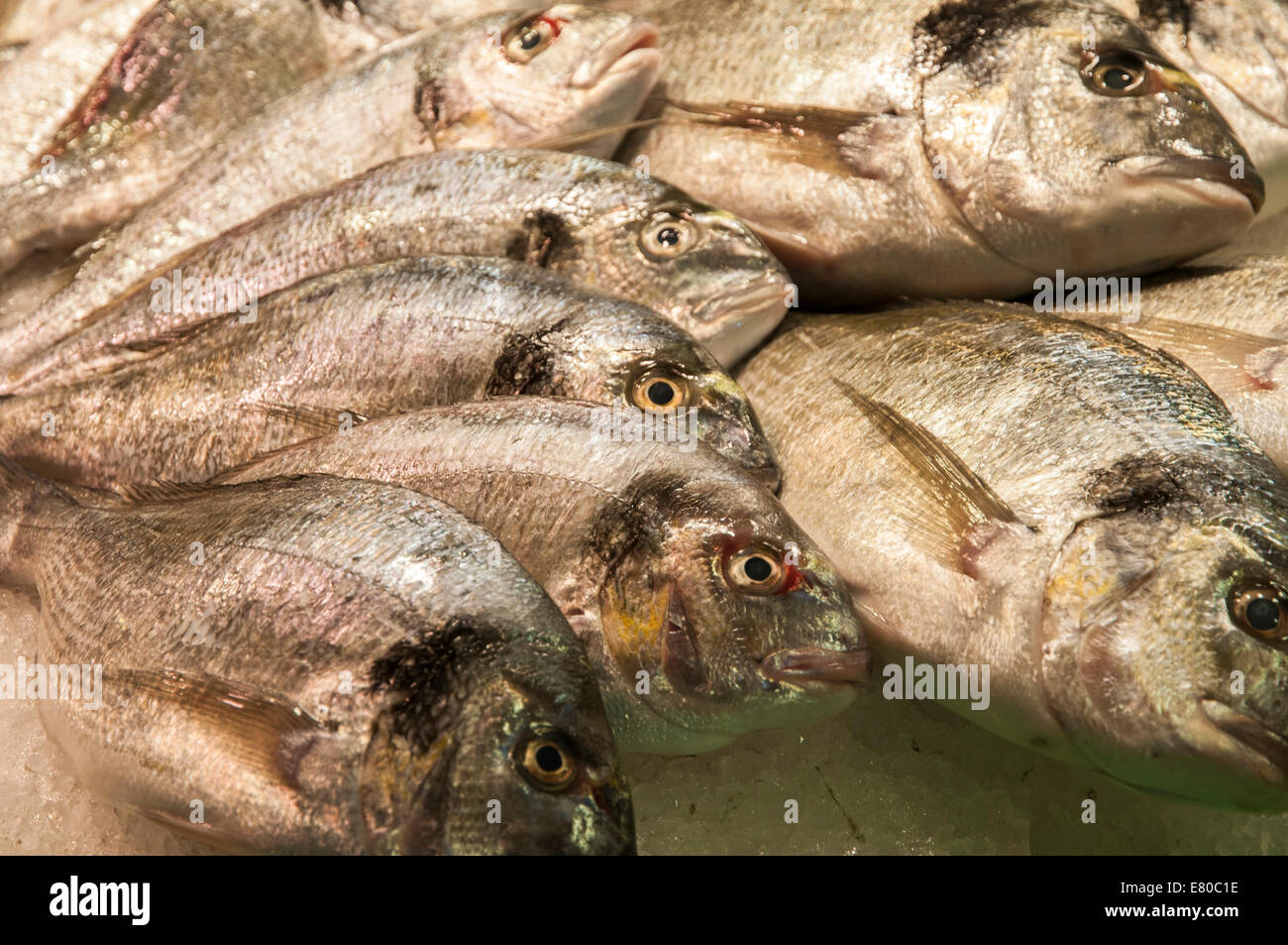 Fresh fish ready to be cooked Stock Photo - Alamy