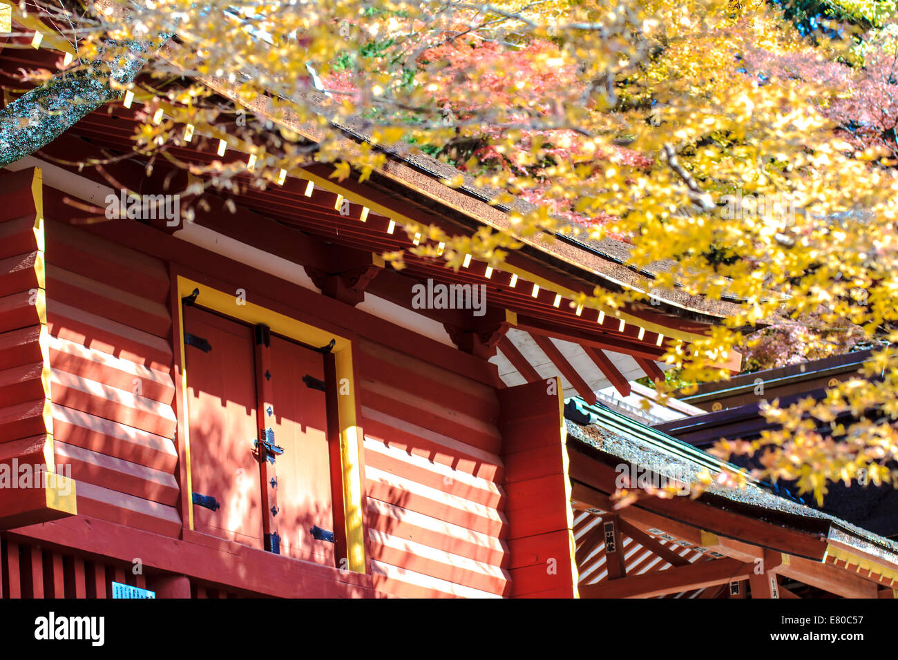 Tanzan Shrine at fall for adv or others purpose use Stock Photo - Alamy