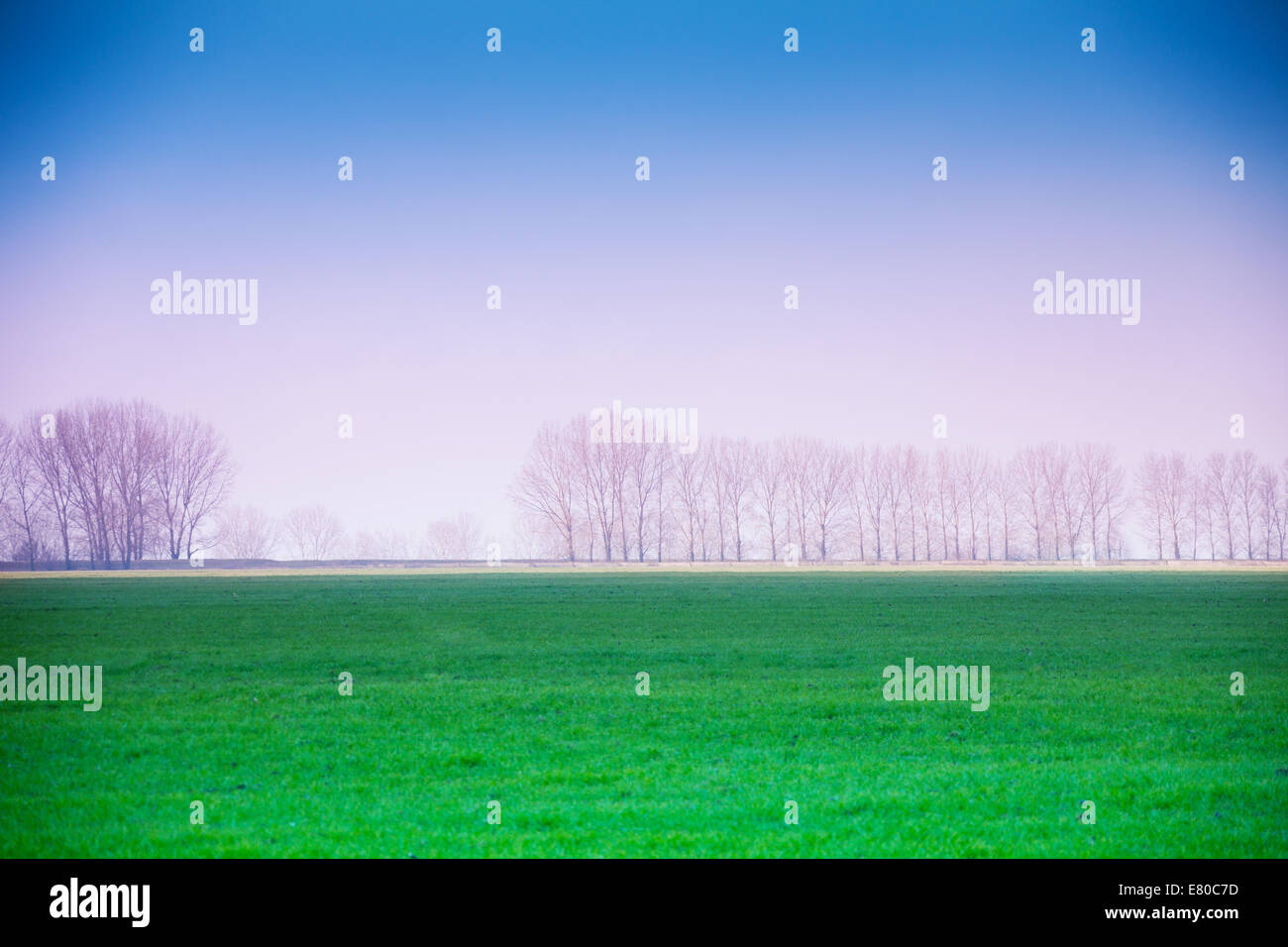 Haze winter landscape with valley in Romania Stock Photo - Alamy