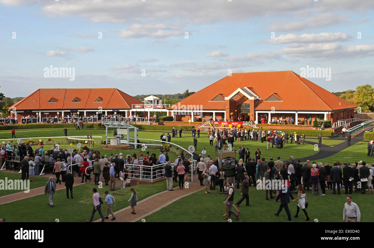 Newmarket rowley mile racecourse hi-res stock photography and images ...