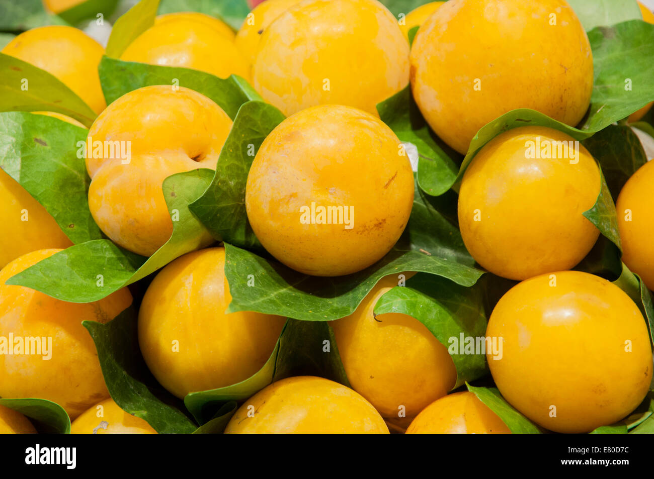 pile of yellow plums decorated with green leaves Stock Photo - Alamy