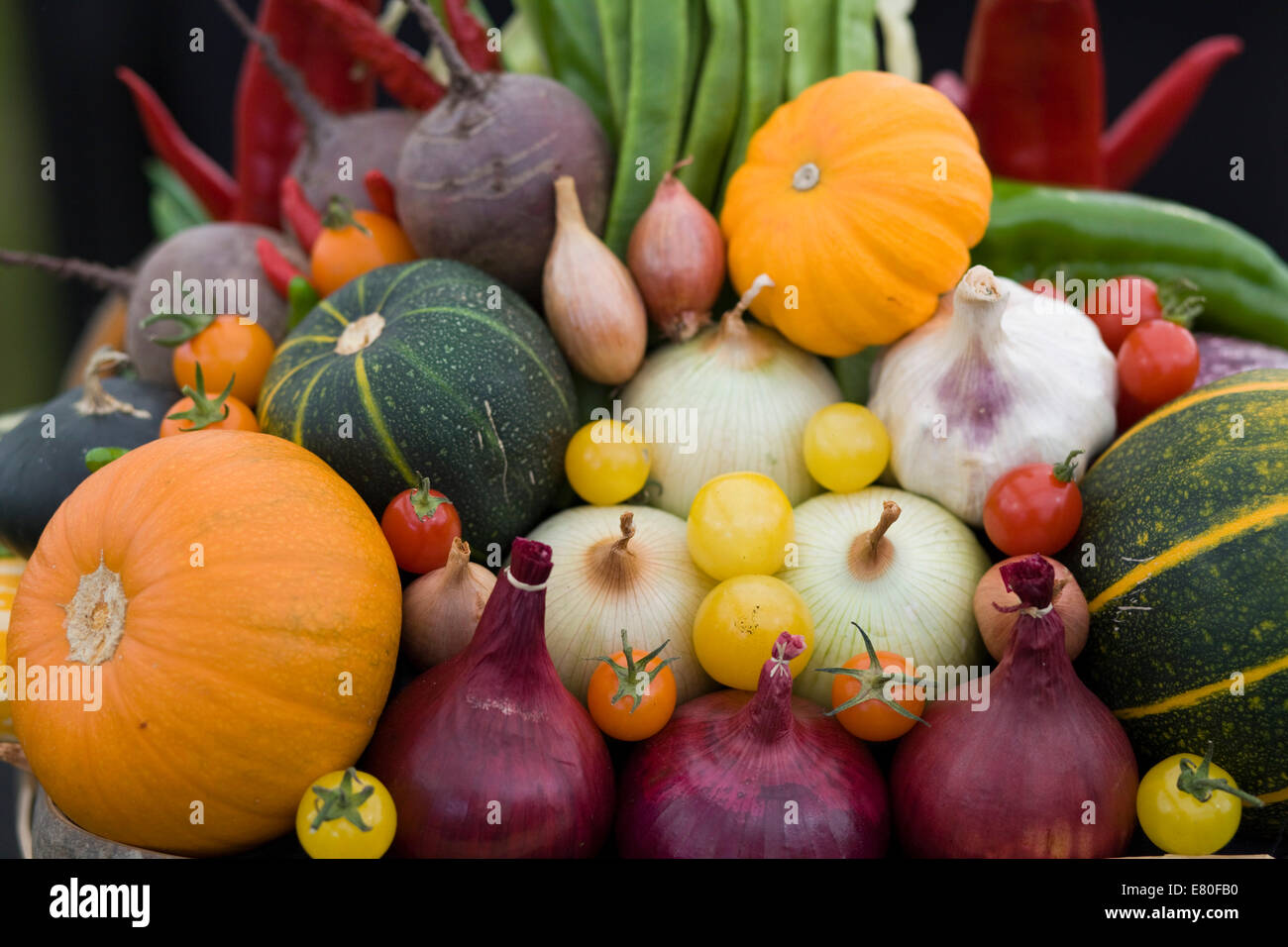 Vegetable Display for a Harvest Basket Stock Photo - Alamy