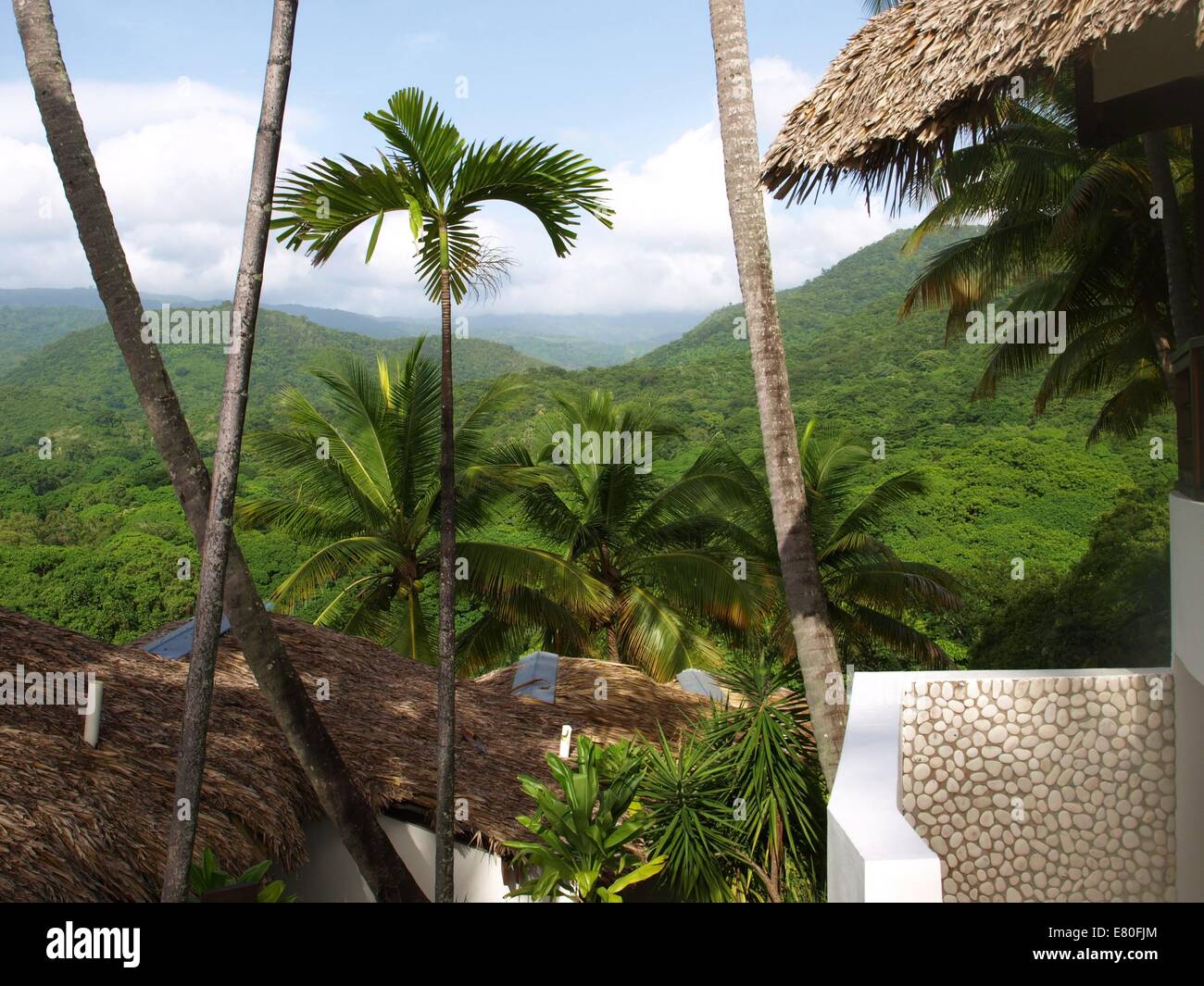 Dominican Republic mountains and rainforest Stock Photo - Alamy