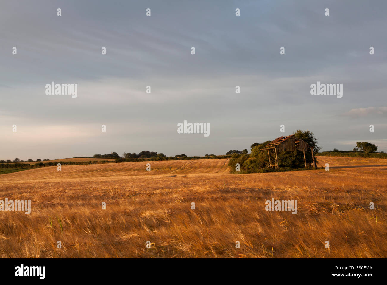 Barley barn hi-res stock photography and images - Alamy