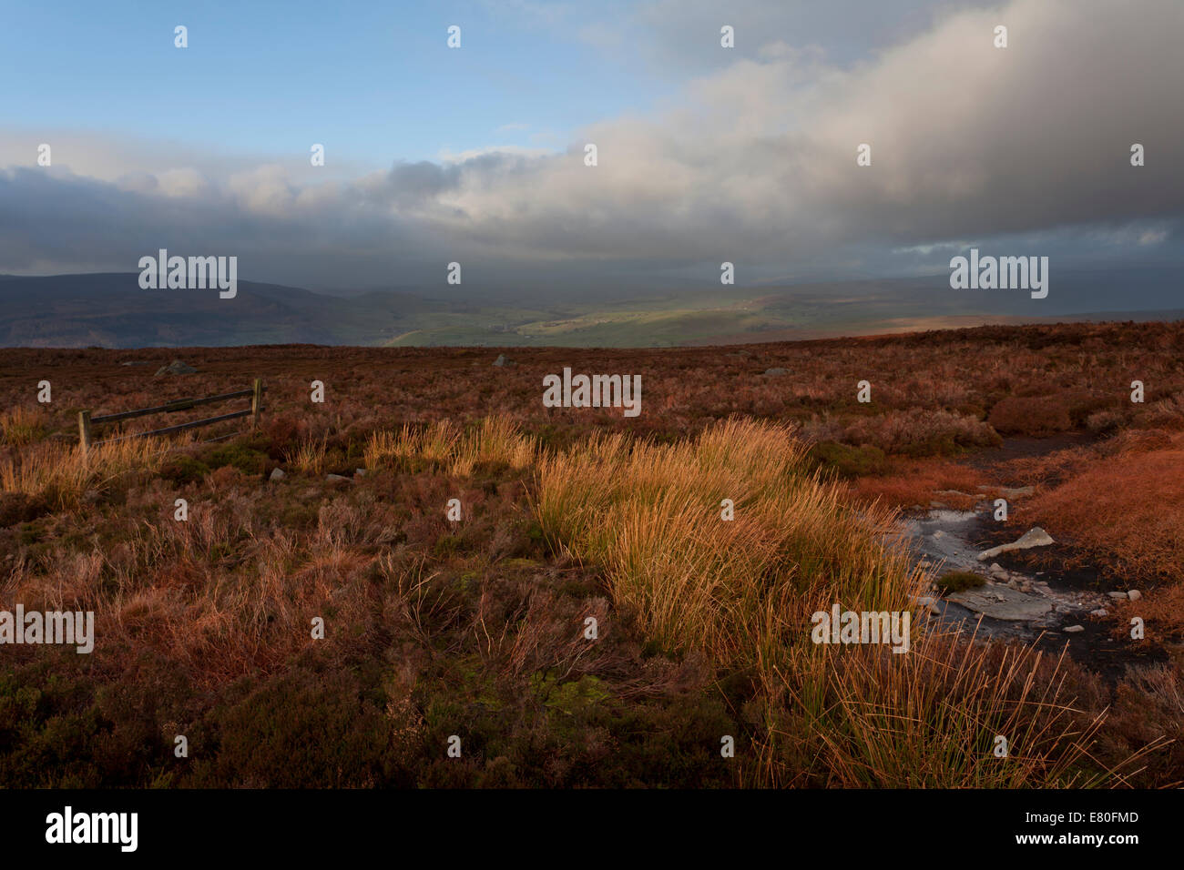 Moorland at Simons seat on Barden moor, winter, Yorkshire Stock Photo ...