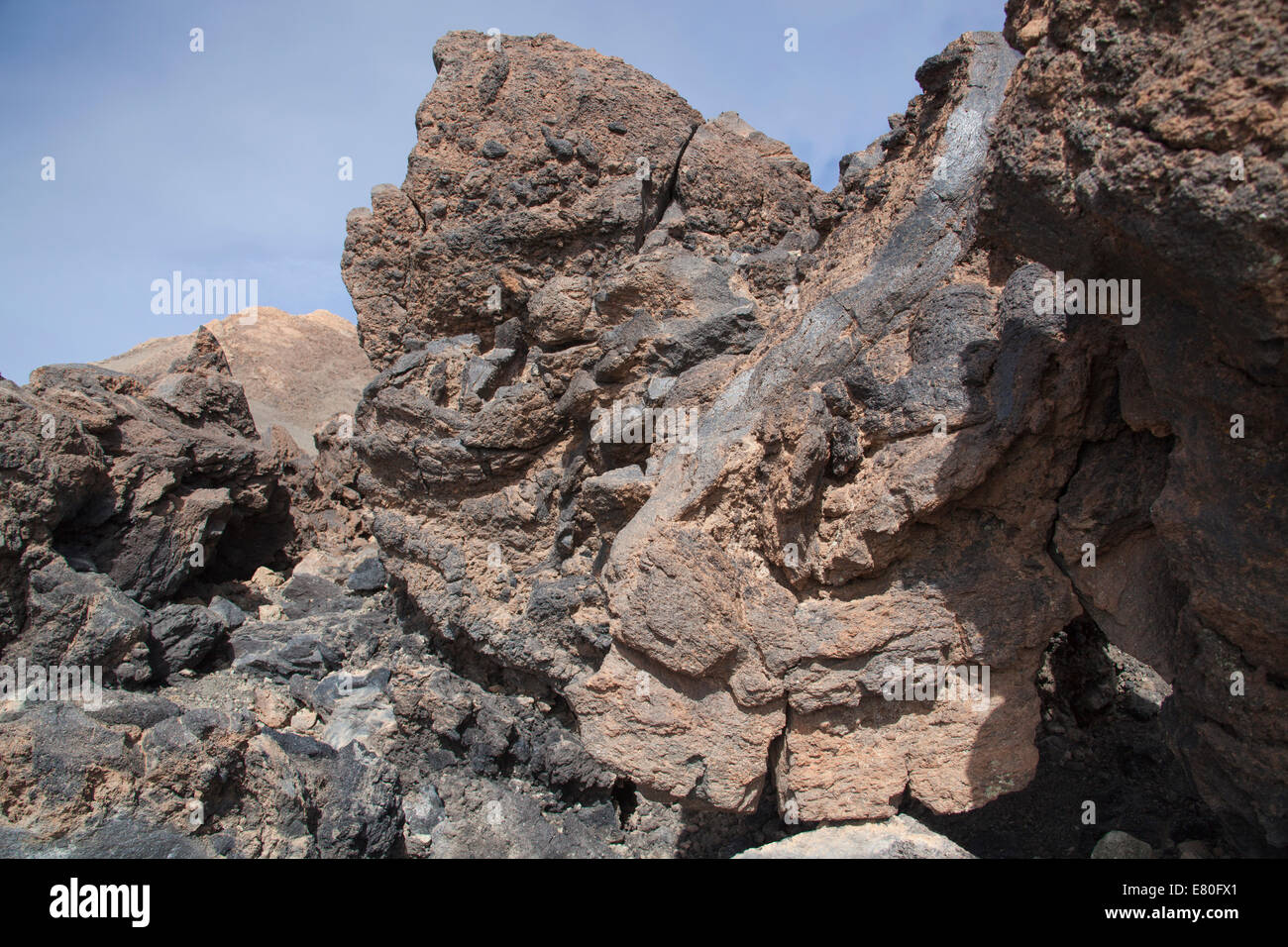 Epacreative hi-res stock photography and images - Alamy