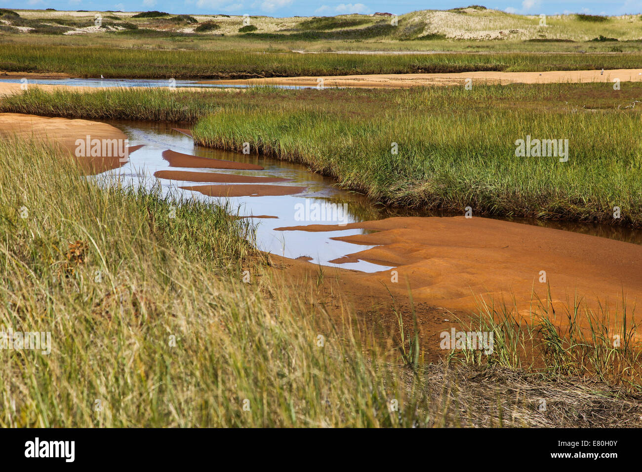 Sand dunes near Provincetown in Cape Cod, Massachusetts, USA Stock ...
