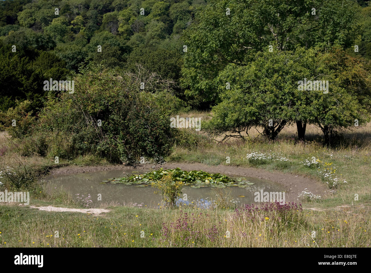 Vale pool hi-res stock photography and images - Alamy