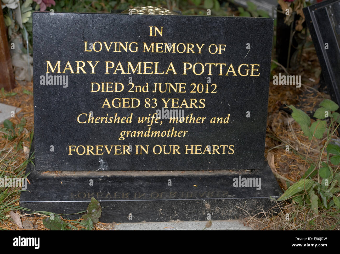 Human ashes hi-res stock photography and images - Alamy