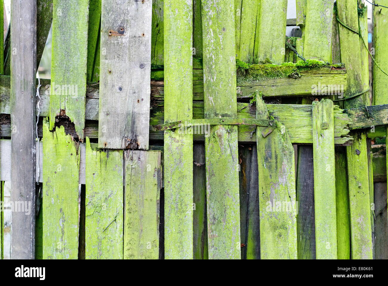Old wood texture for web background Stock Photo - Alamy