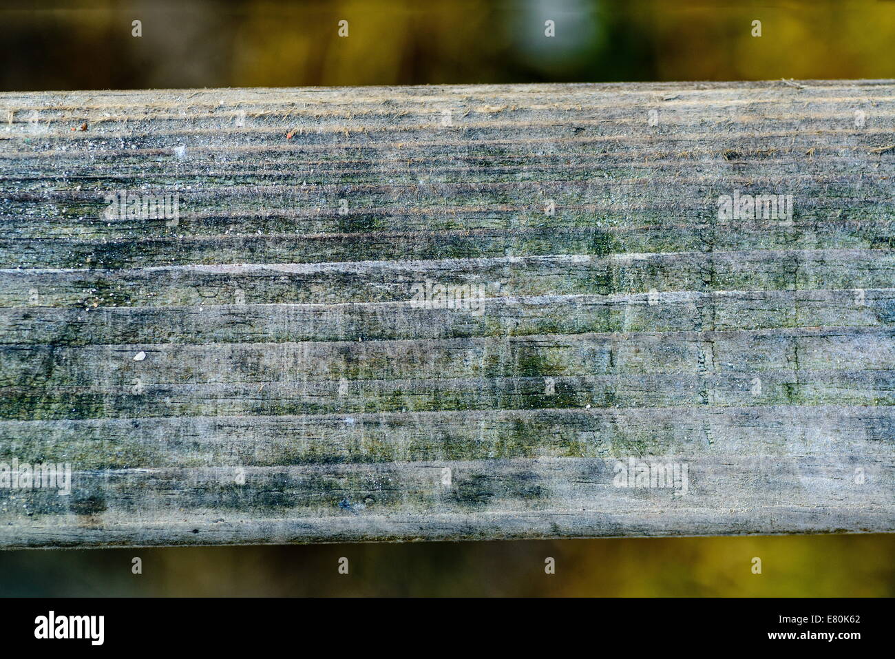 Old wood texture for web background Stock Photo - Alamy