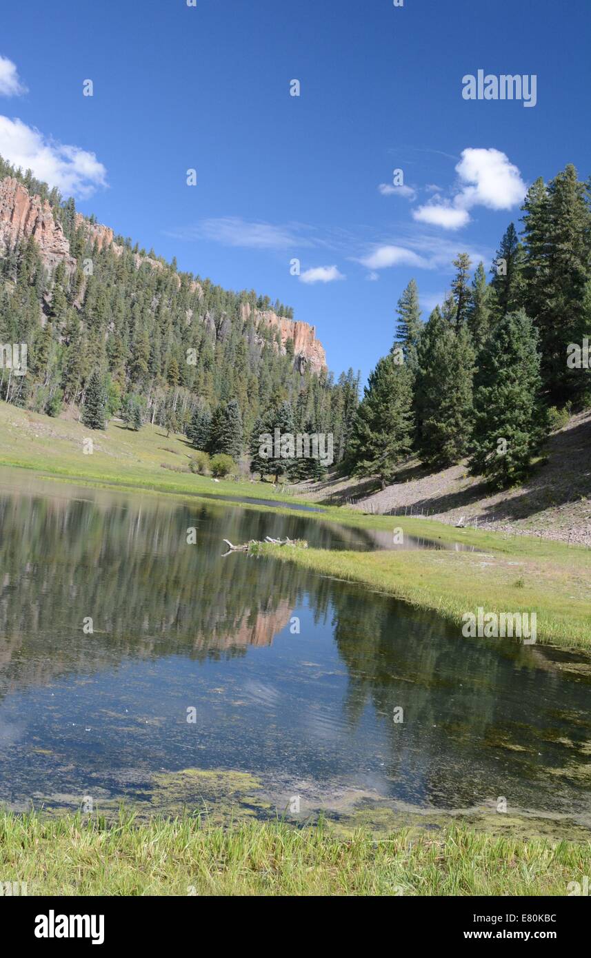reflections in pond in mountains of New Mexico Stock Photo - Alamy