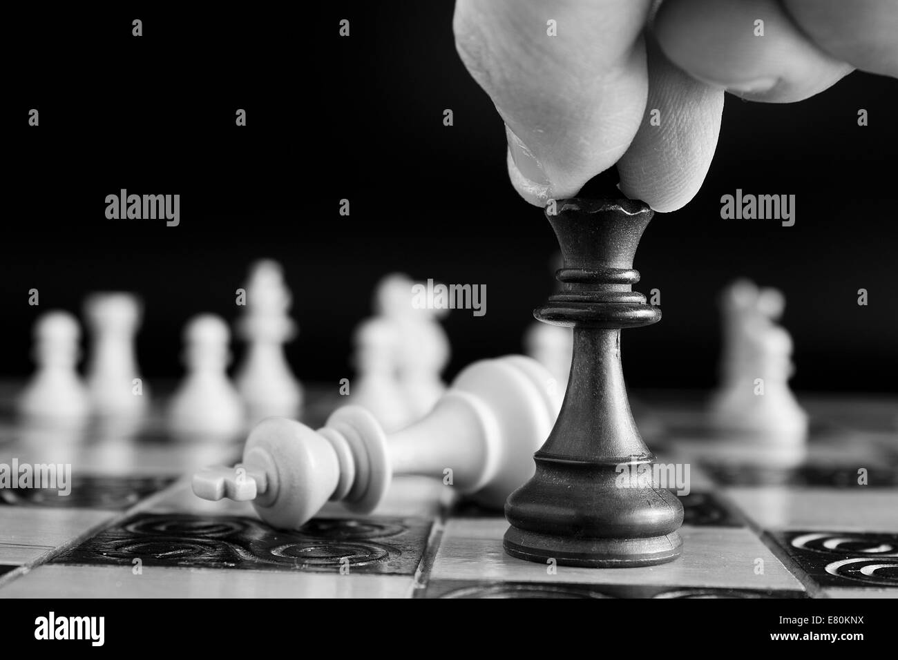 Photographed on a chess board Stock Photo - Alamy