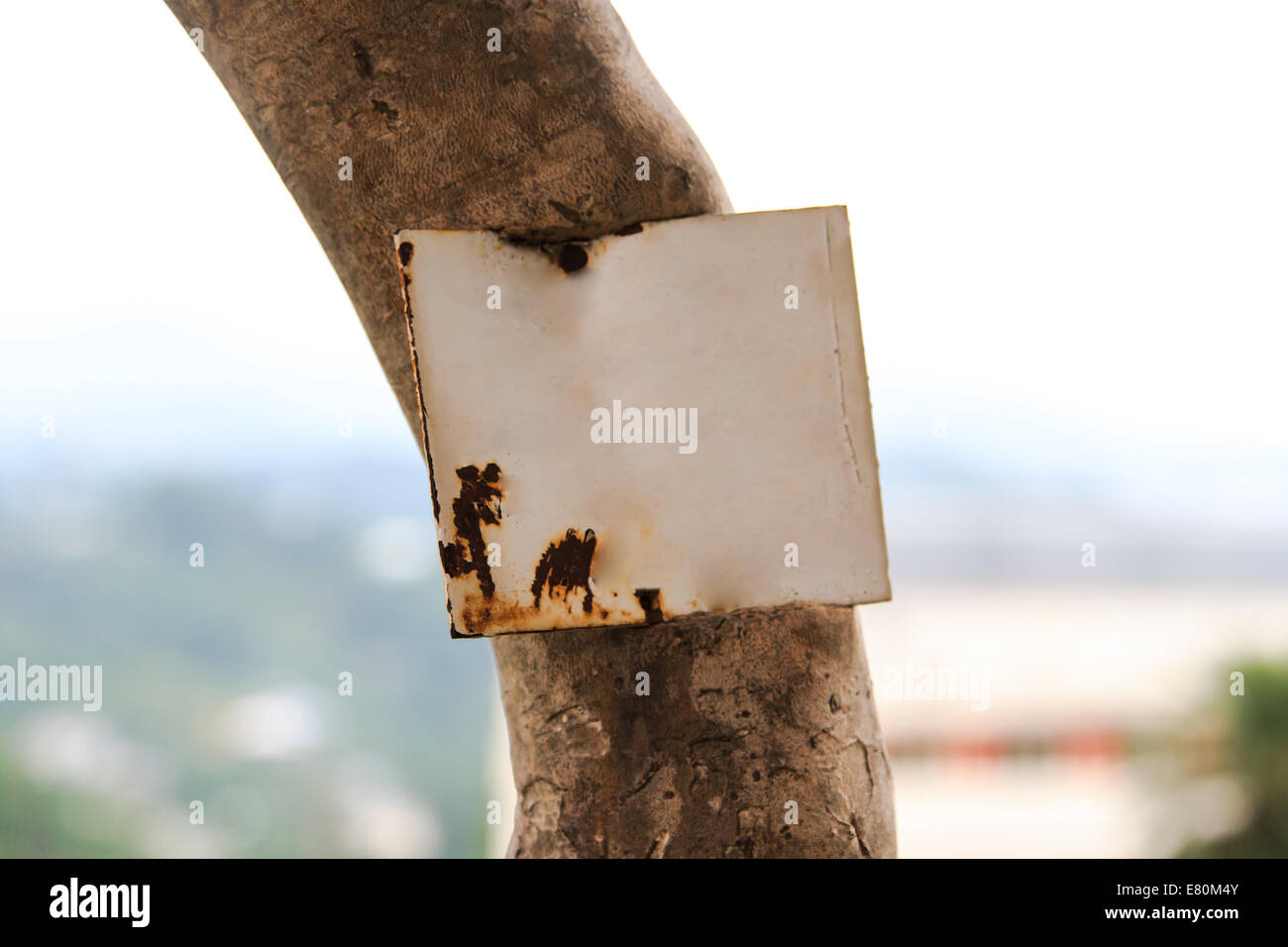 Blank, white, rusty sign board on body of tree Stock Photo - Alamy