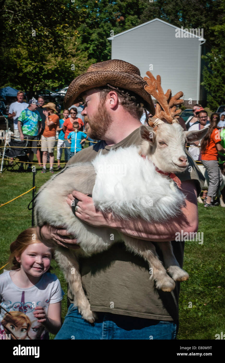 Goat goats race racing hi-res stock photography and images - Alamy