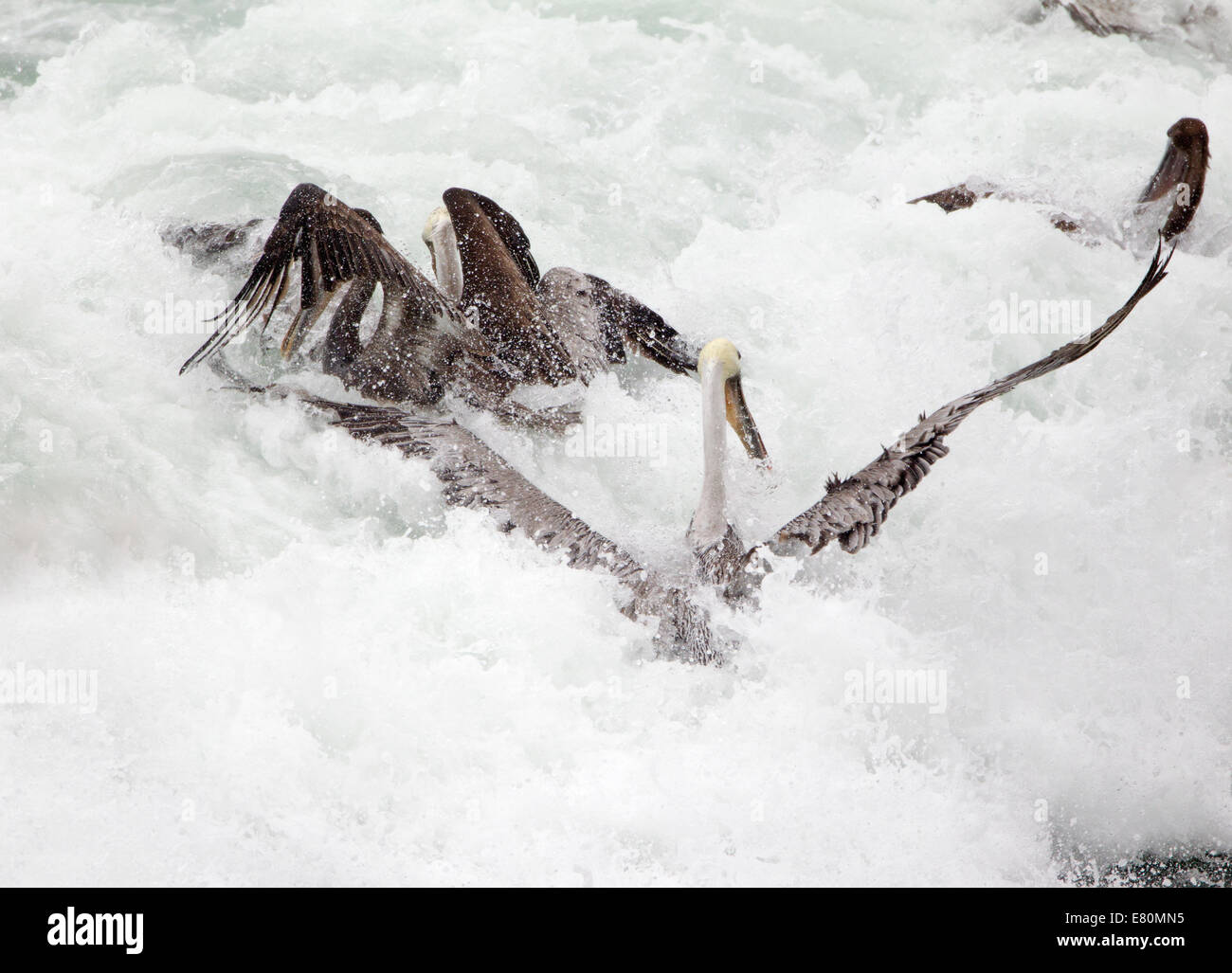 Swamped hi-res stock photography and images - Alamy