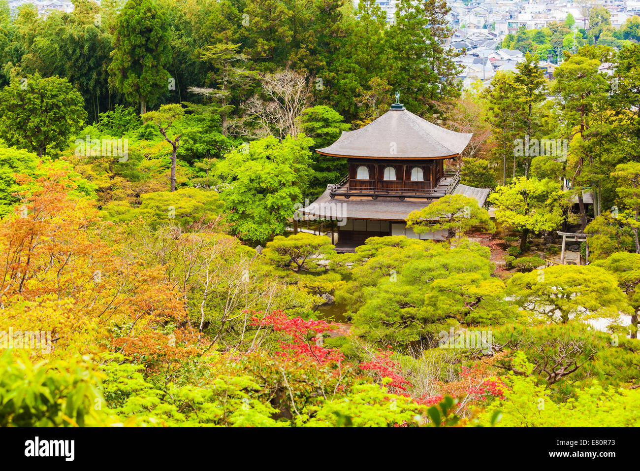 Japanese temple in forest Stock Photo - Alamy