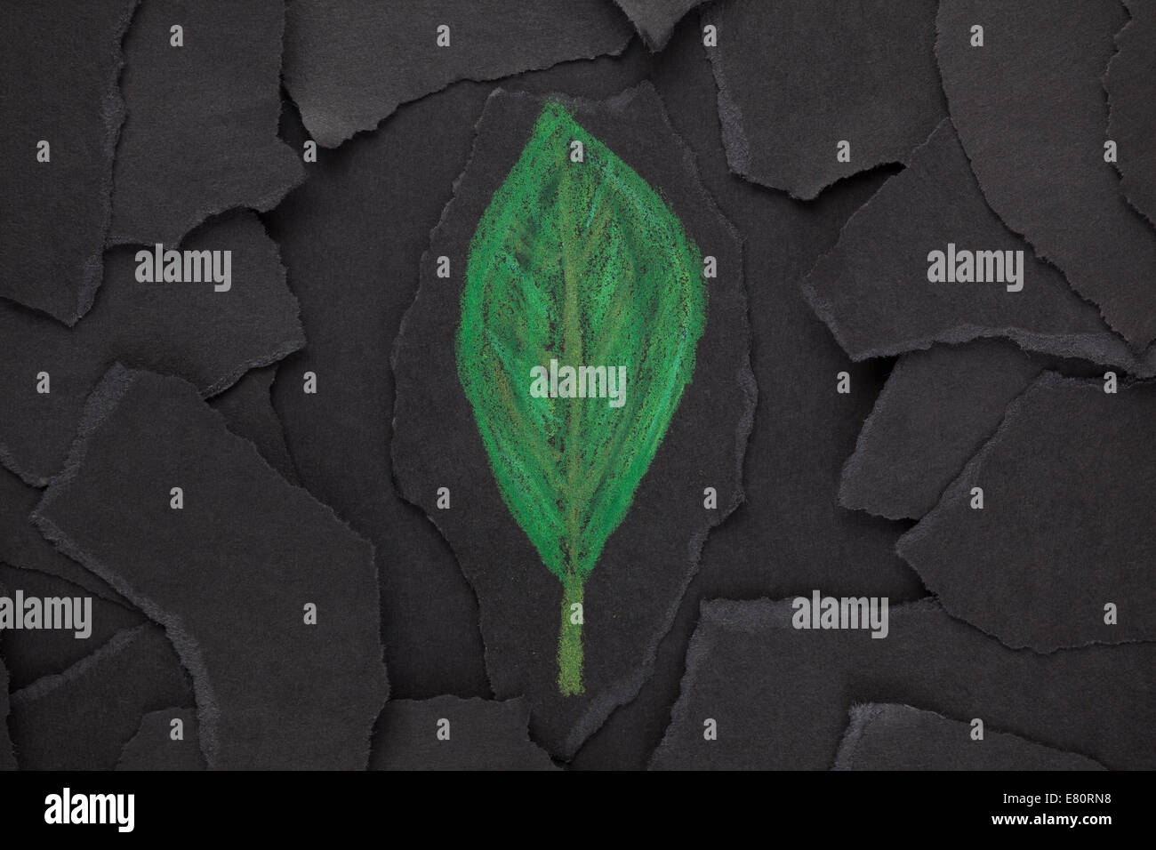 One last green leaf in our world Stock Photo - Alamy