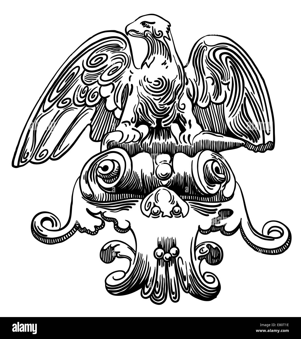 ink drawing of design element of Lviv (Ukraine) facade historica Stock ...