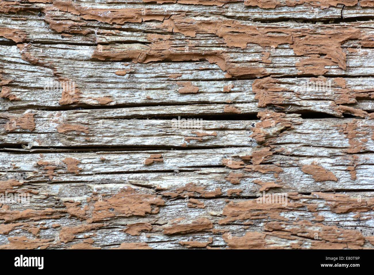 wood texture. background old panels Stock Photo - Alamy